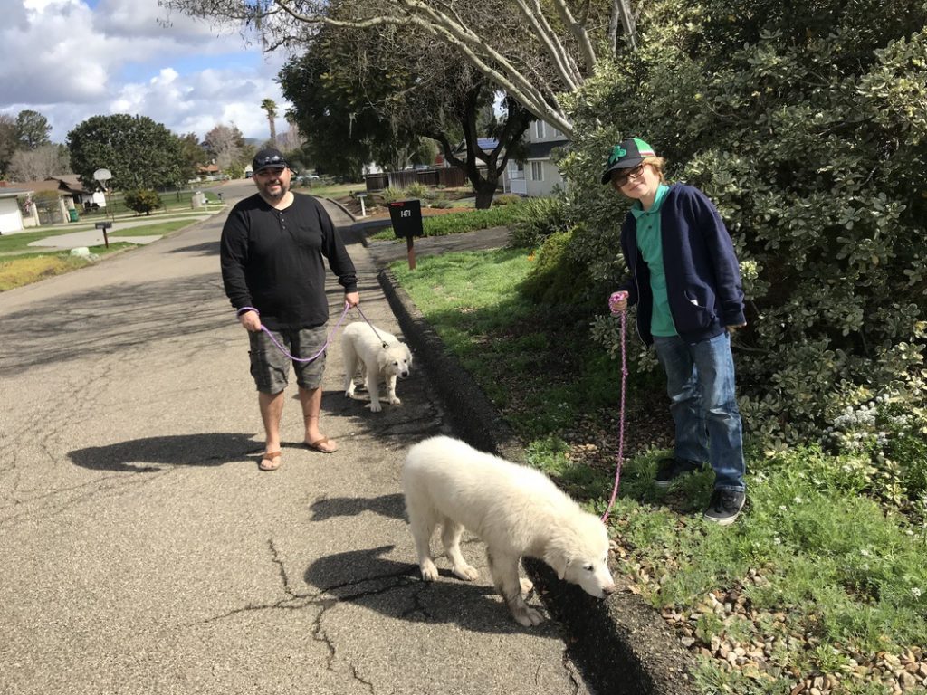 6 Ways to Show Your Dogs You Love Them